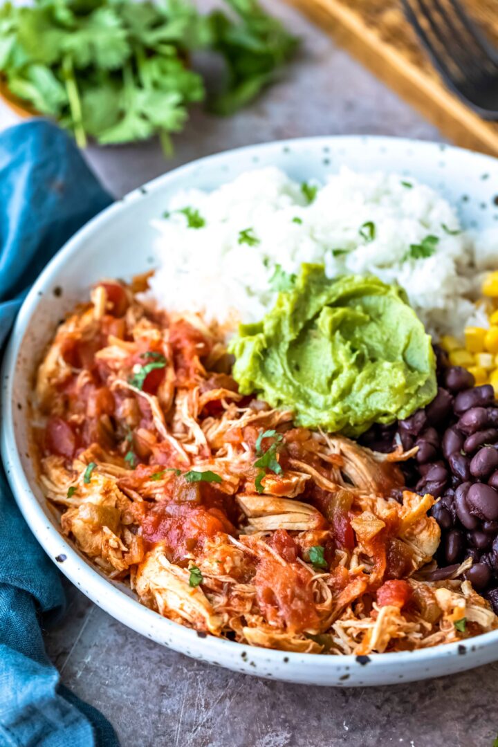 Instant Pot Salsa Chicken and Rice - Eating in an Instant