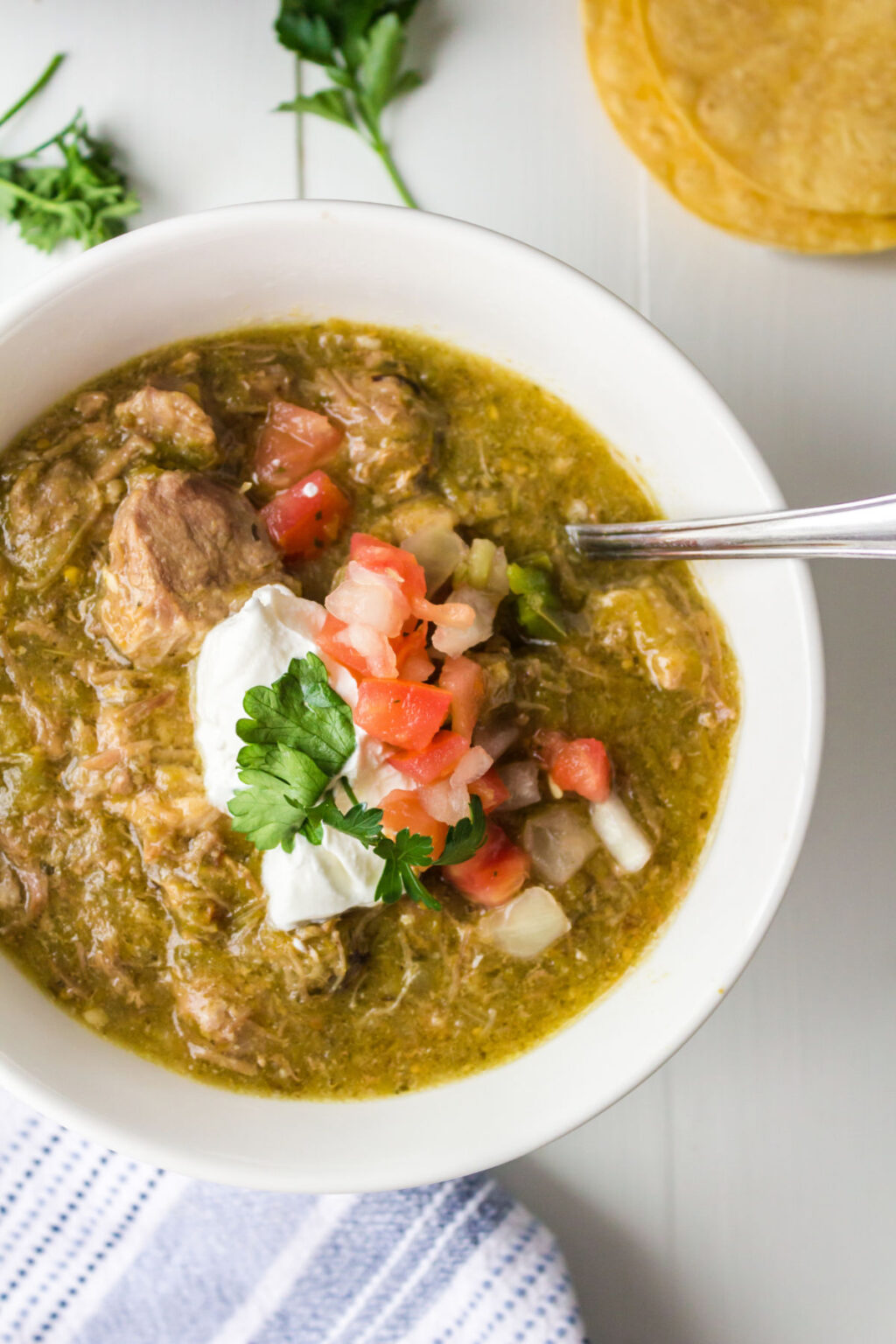Instant Pot Pork Chile Verde - Eating in an Instant