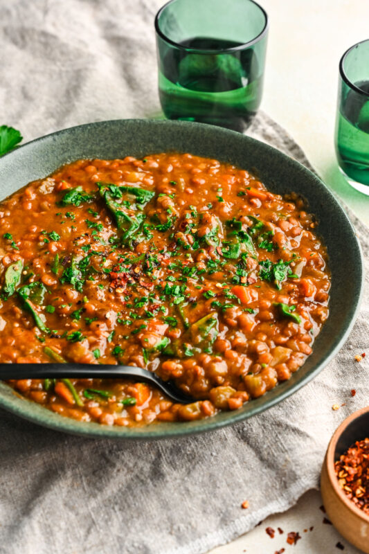 12 Budget-Friendly Instant Pot Recipes - Eating in an Instant