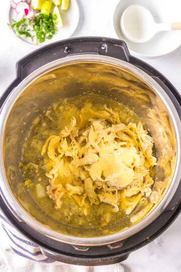 Instant Pot Chicken Chile Verde - Eating in an Instant